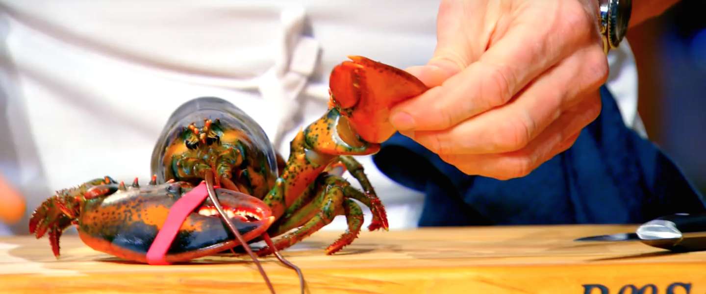 How to: kreeft klaarmaken op de beste manier – Eatly